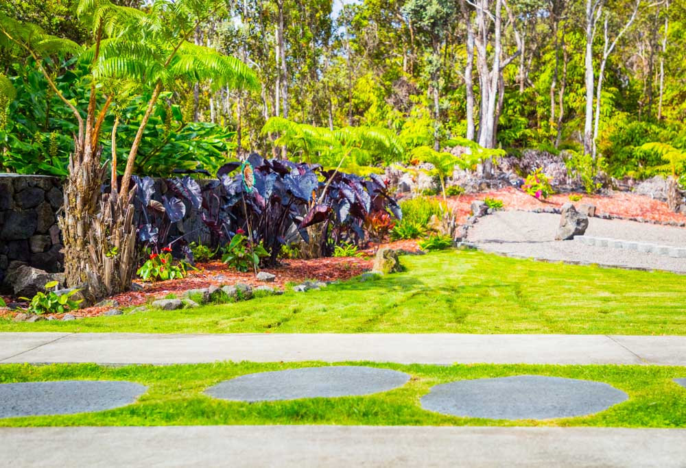 Volcano Rainforest